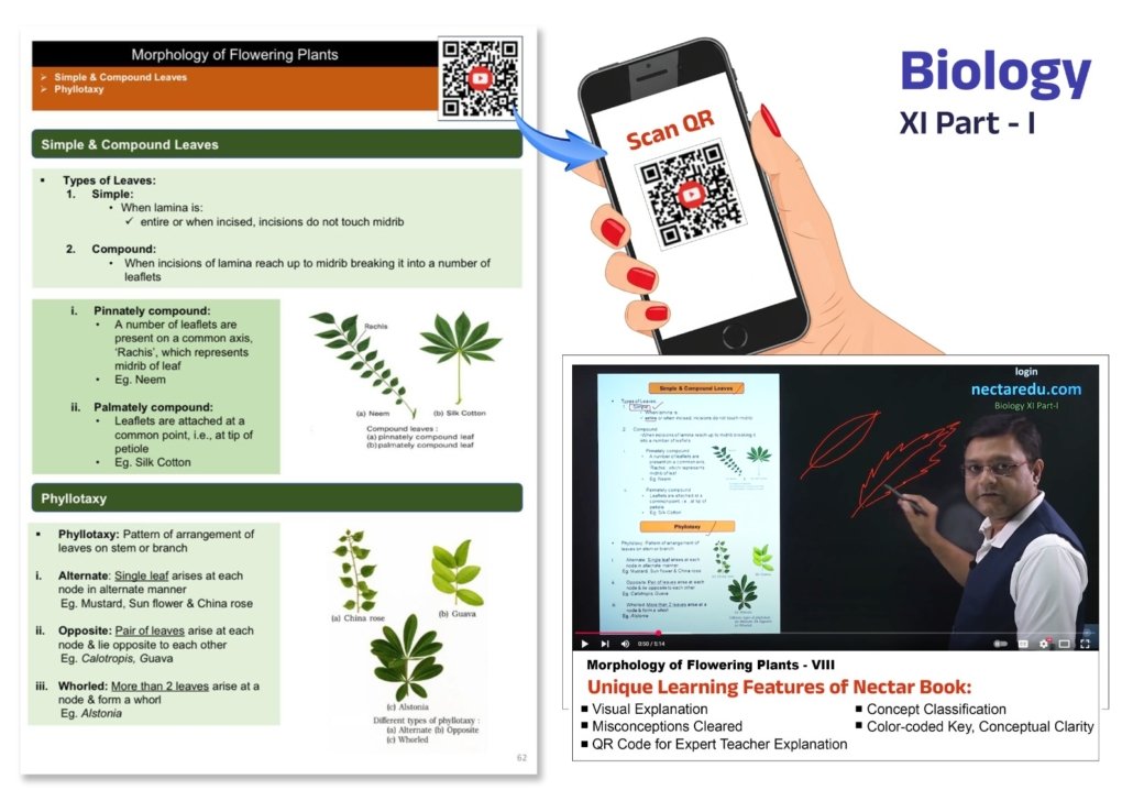 Nectar Education – Official Website